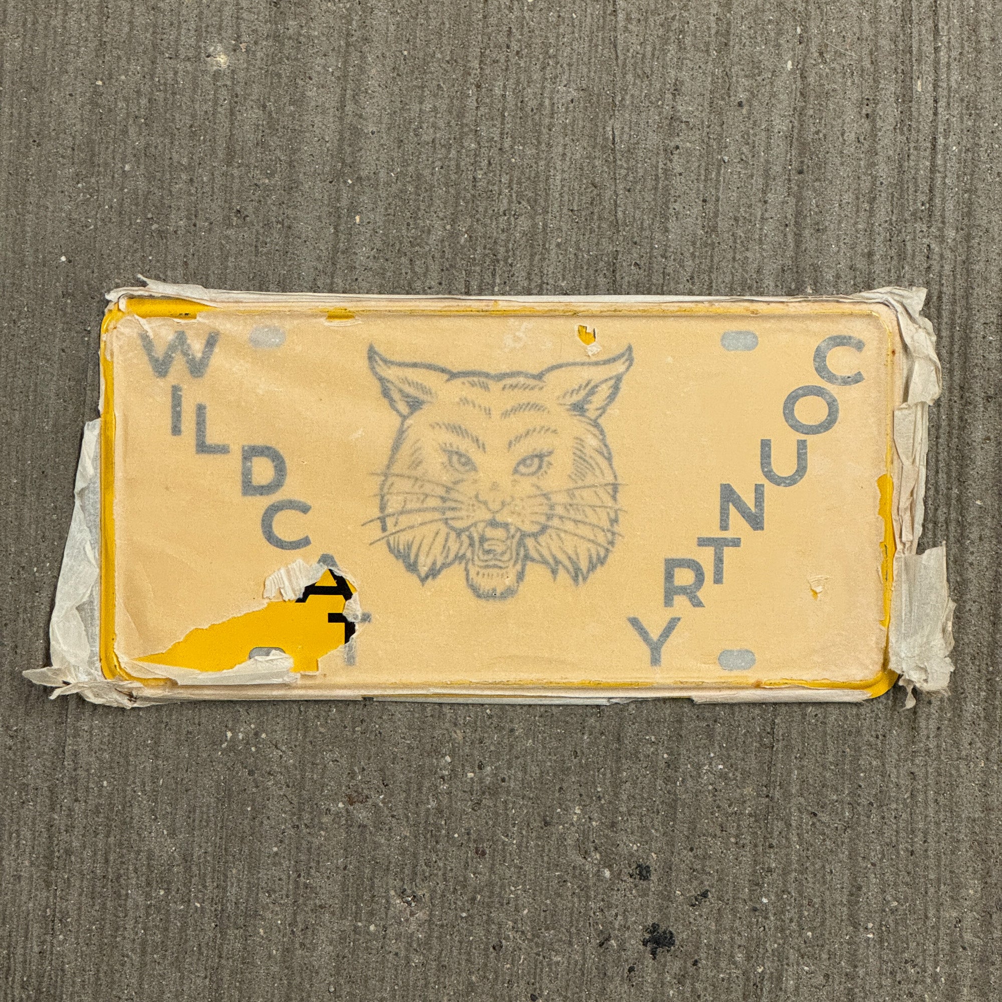 1950 Era Wildcat Country Booster License Plate Vintage AutoTag 8 Garag ...