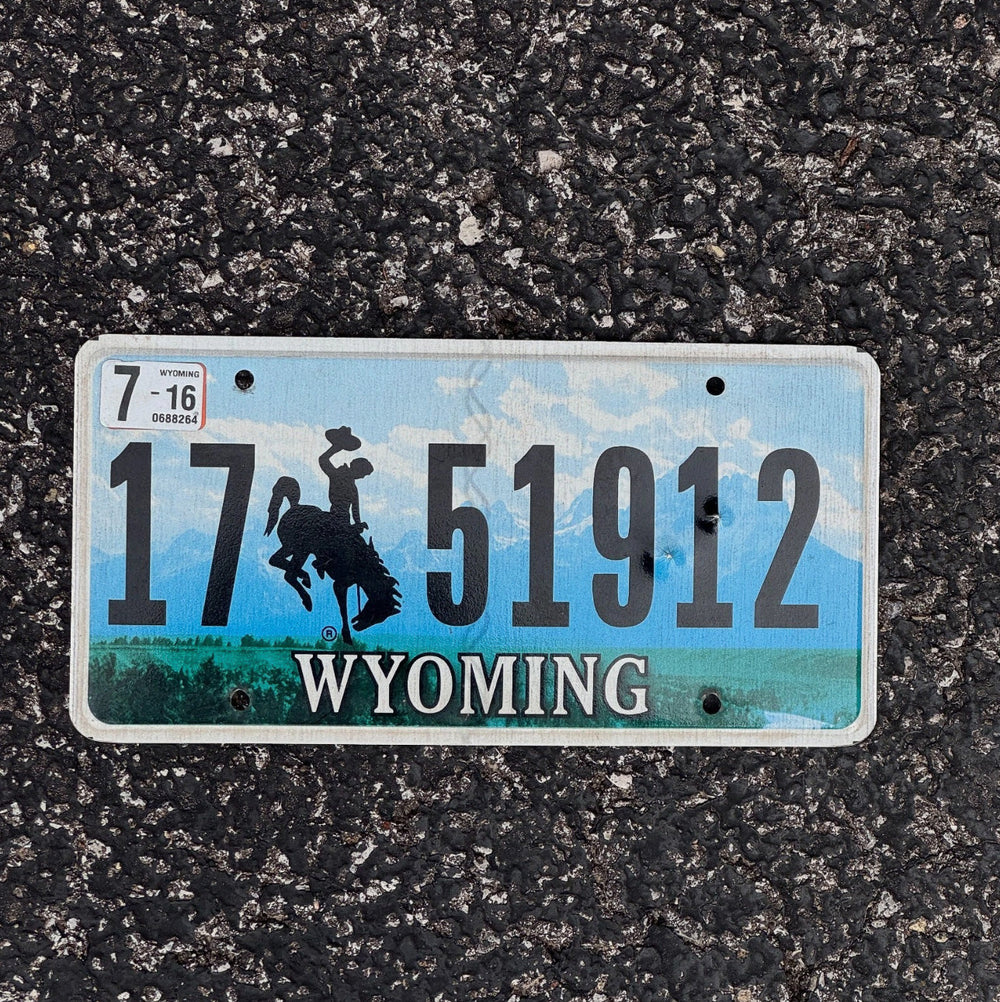 Collectible Vintage License Plates | Old Auto Tags, History & Style ...
